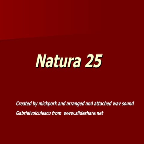 Nature 25 | PPT
