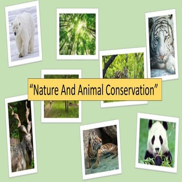 Nature and animal conservation | PPTX