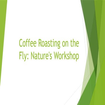Coffee Roasting on the Fly: Nature's Workshop | PPTX