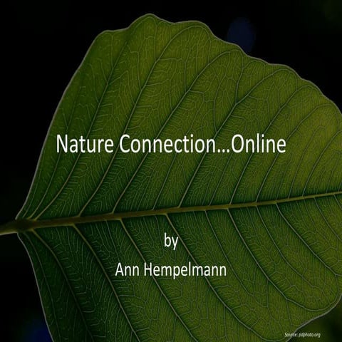 Nature connection s s | PPTX