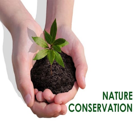 Nature conservation | PPT