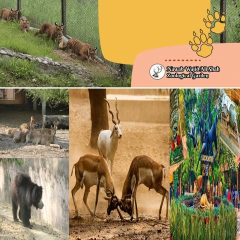 Nature_Guide_Upskilling_Workshop_training.pptx