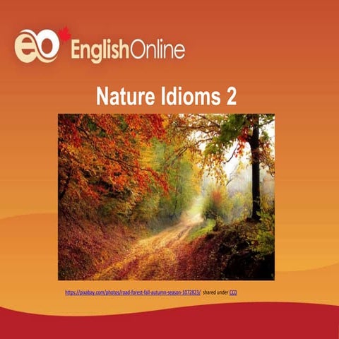 Check out this set of idioms using nature. | PPT