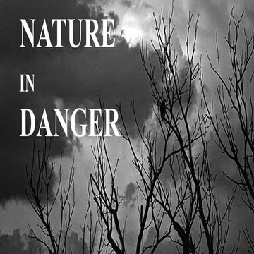 Nature in danger | PPTX