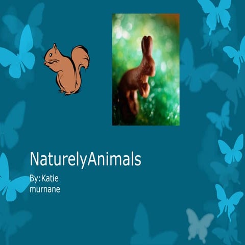 Animals | PPS