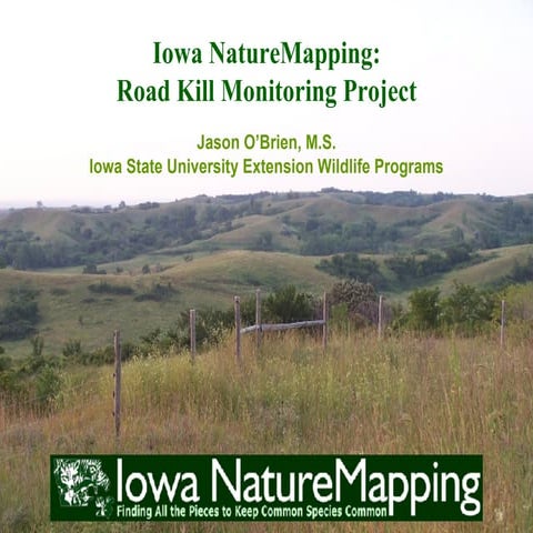 NatureMapping Lrtf Roadkill 07 | PPT