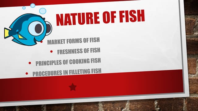 Fish and shellfish | PPTX