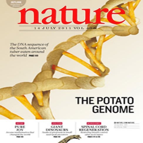 Nature potato | PDF