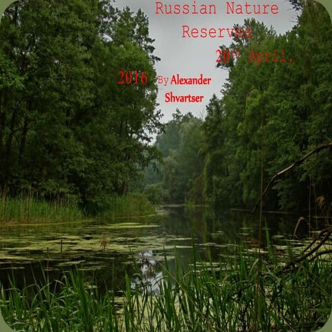 Nature reserves of russia | PPTX