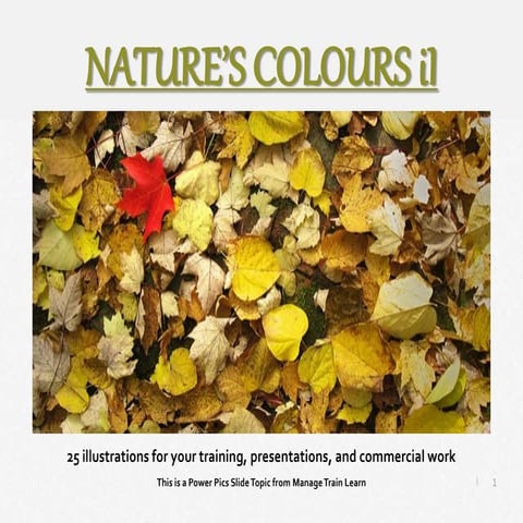 Nature's Colours II | PPTX