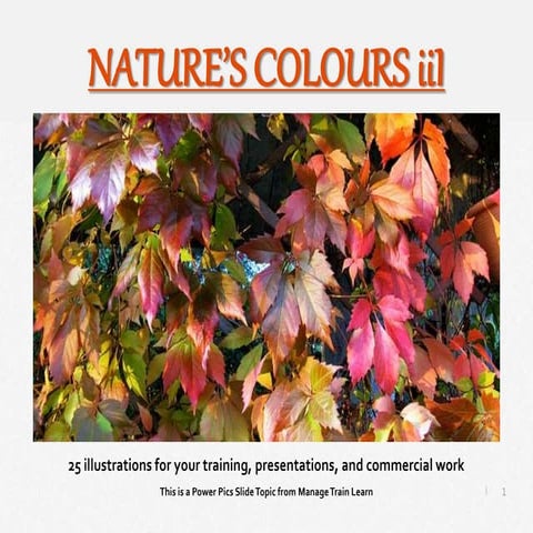 Nature's Colours III | PPT