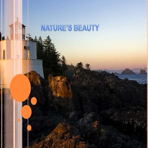 NATURE"S CREATIVITY | PPT