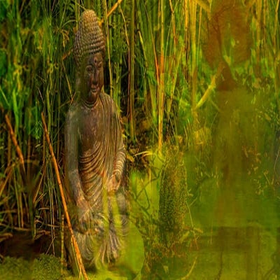 Nature Scenery 2 Buddha | PPT