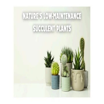Nature’s Low-Maintenance Succulent Plants.pdf