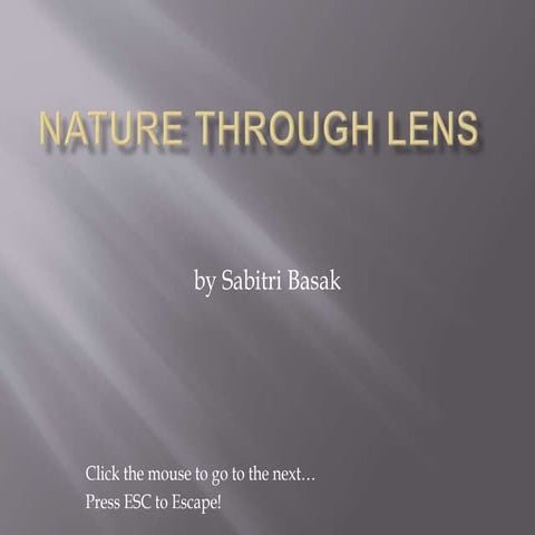 Nature through lens | PPT