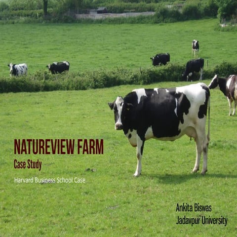 NatureView Farm Case Study | PPTX