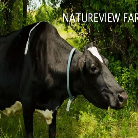 Natureview farm | PPTX