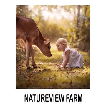 Natureview Farm Harvard Case Analysis | PDF