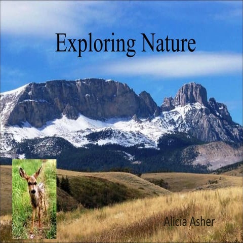 Nature walk lesson plan | PPT