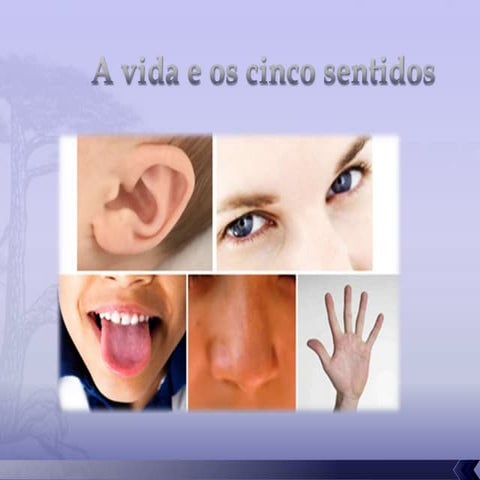 Natureza e os cinco sentidos | PPT