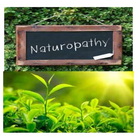 Basics of Naturopathy .pptx