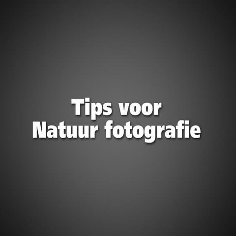 dia presentatie tips voor natuurfotografie | PDF | Photography | Arts ...