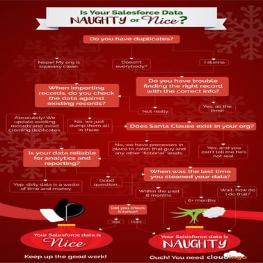 Is Your Salesforce Data Naughty or Nice? | PDF
