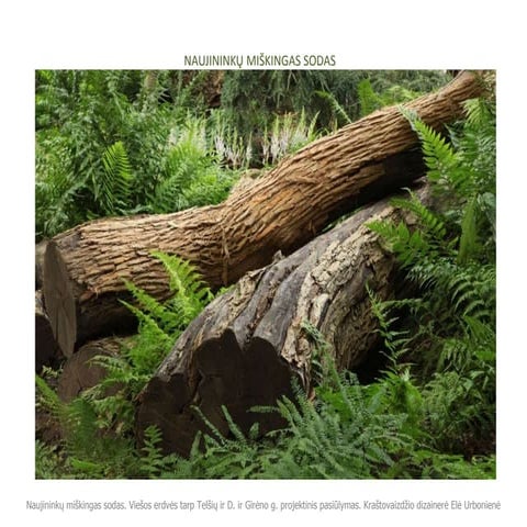 Naujas skveras Naujininkuose | PPT