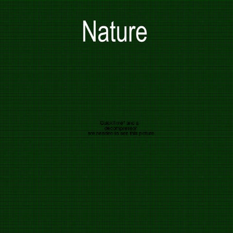 Nature | PPT
