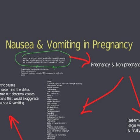Nausea & vomiting in pregnancy | PDF