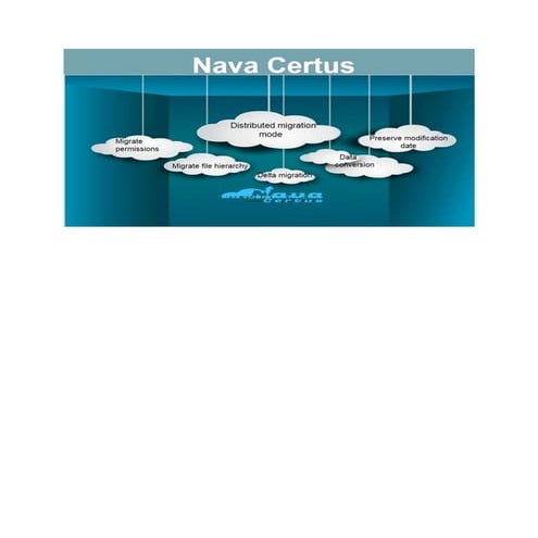 Nava Certus | PDF