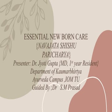 Comprehensive Essential Newborn Care: Practices and Guidelines for ...