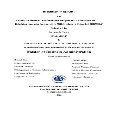 Navaneeth_shetty_project_financial_perfo (1).docx