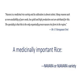 Navara rice | PPTX
