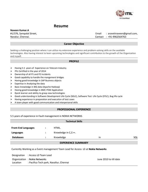 NPI Engineer_Resume | PDF