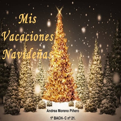 Mis Vacaciones | PPT