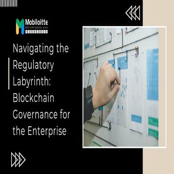 Navigating the Regulatory Labyrinth: Blockchain Governance for the ...
