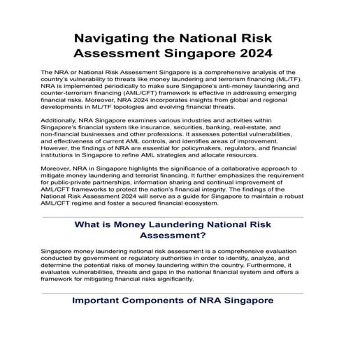 Navigating the National Risk Assessment Singapore 2024.pdf
