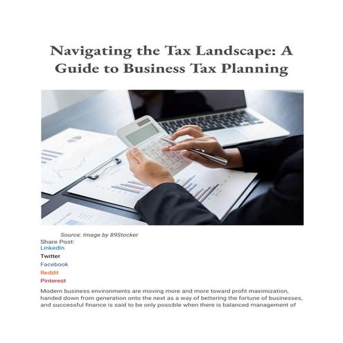 Navigating the Tax Landscape_ A Guide to Business Tax Planning.pdf