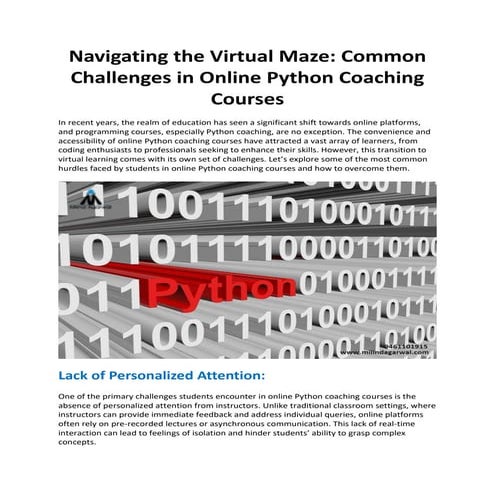 Navigating the Virtual Maze: Common Challenges in Online Python ...