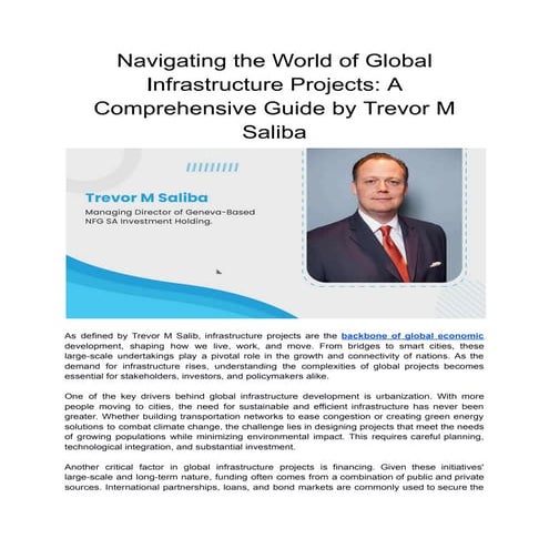 Navigating the World of Global Infrastructure Projects_ A Comprehensive ...