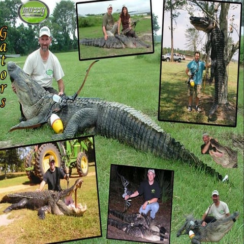 Navi gator commercial v02 jf | PPTX