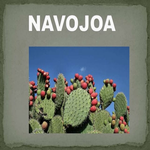 Navojoa | PPTX