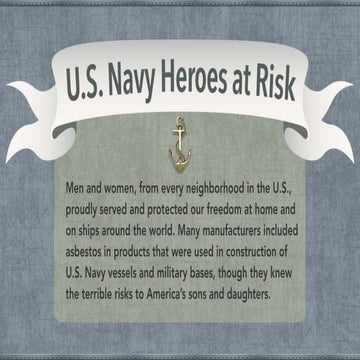 U.S. Navy Heroes at Risk | PDF