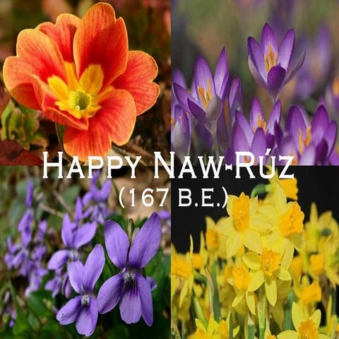 Naw ruz 167-be | PPS