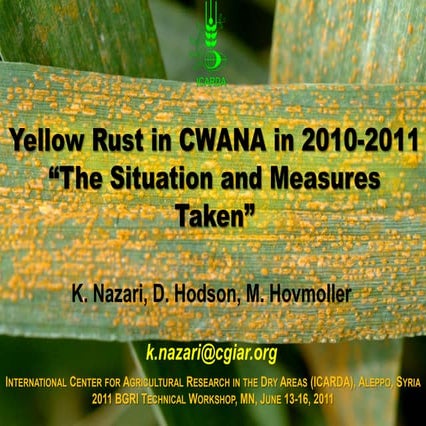 Yellow rust status pakistan | PPT
