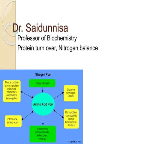 NB.ppt biochemistry of amino acid & proteins | PPT