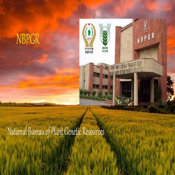 NBPGR-National Bureau of plant genetic Resources. | PPTX