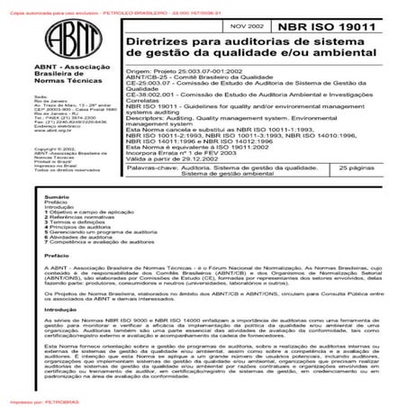 Nbr iso 19011 | PDF