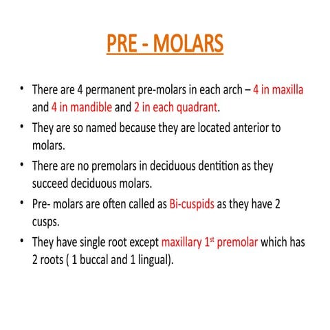 Pre molars dental anatomy ppt bds 1st year | PPT